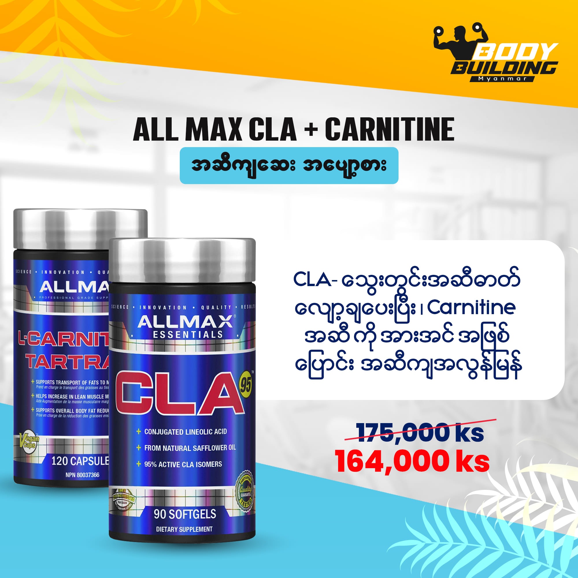 Body Building USA - Myanmar